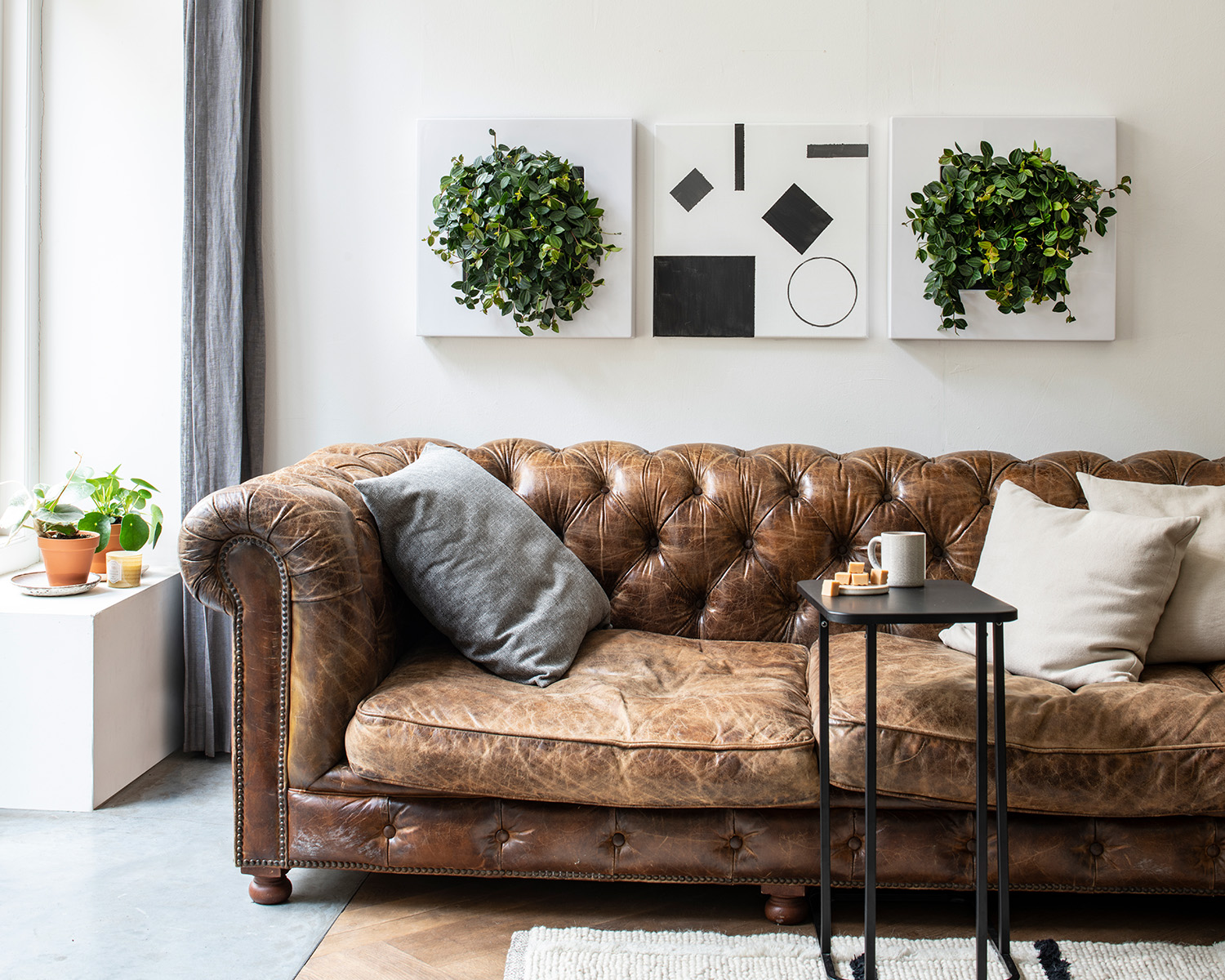 Living Picture Frames - Vertical Garden Solutions
